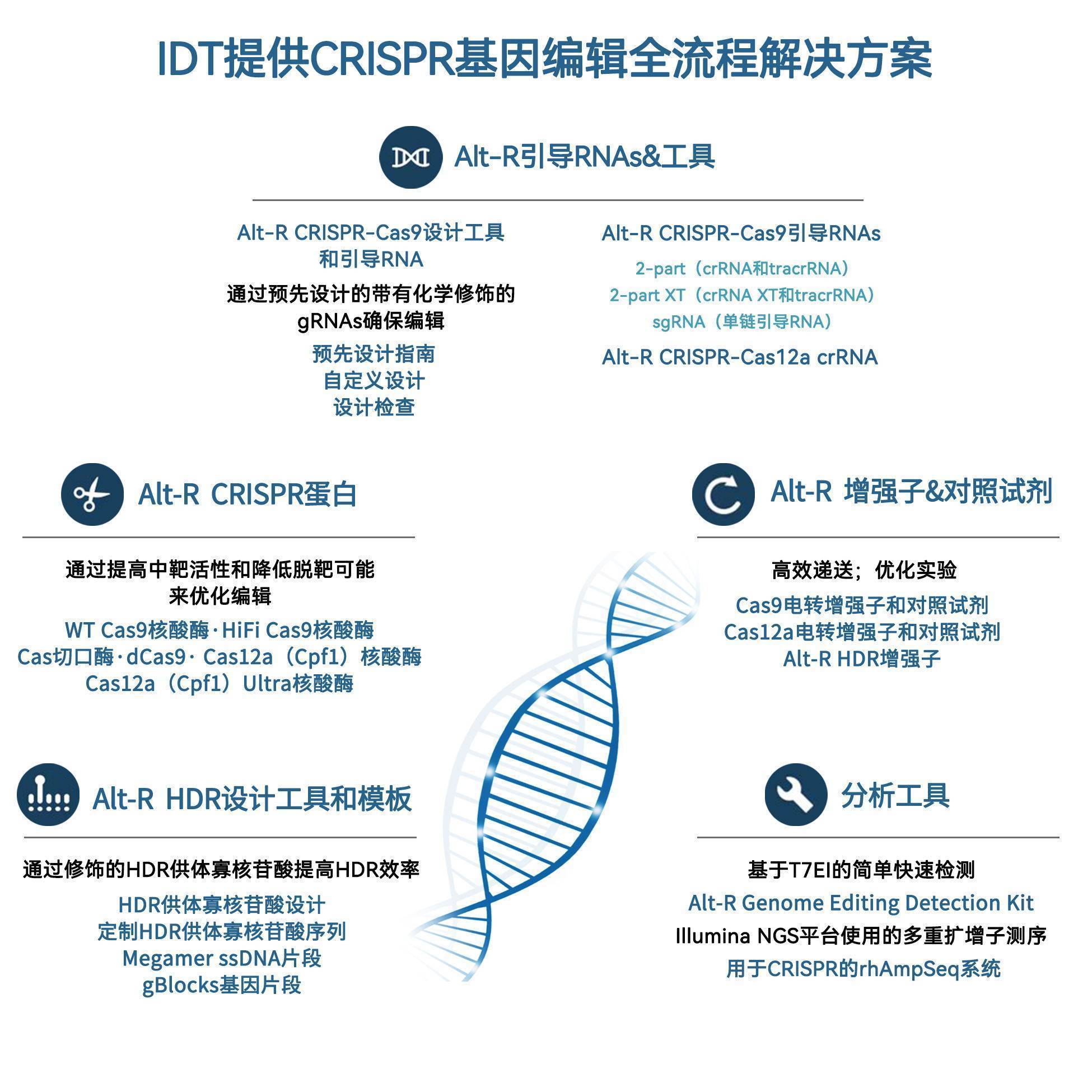 前沿速递|非病毒载体制备CAR-T，助力细胞疗法“腾飞”_基因_位点_dsDNA