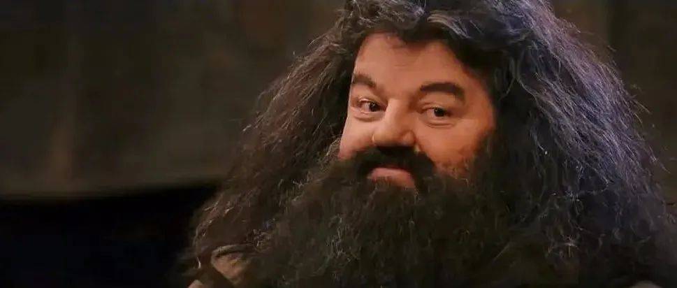 But Hagrid will.Yes._hagrid_here_be