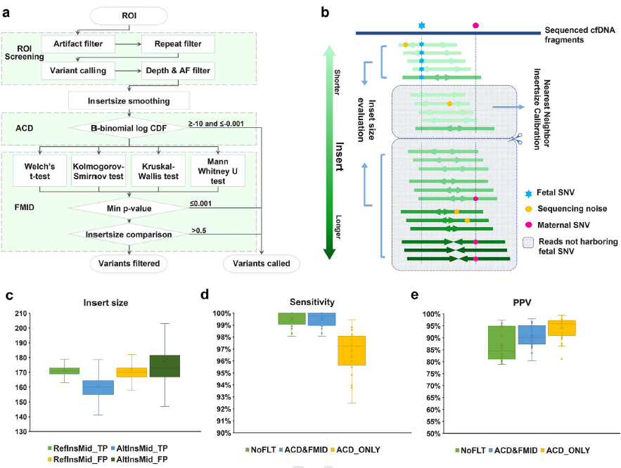 新一代NIPT：孕妇血浆cfDNA遗传去卷积分析实现胎儿染色体异常和单基因病的同步筛查 | Cell Discovery_COATE-seq_检测_cfDNA