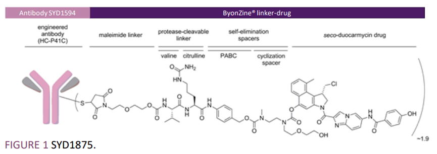 新晋ADC逆袭辉瑞，靶点新秀5T4未来方向几何？_临床_药物_抗体