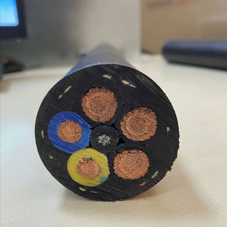 WDZ-RYJY WDZ-RYJYP无卤低烟阻燃交联聚烯烃绝缘环保软电线电缆_试验_燃烧_性能