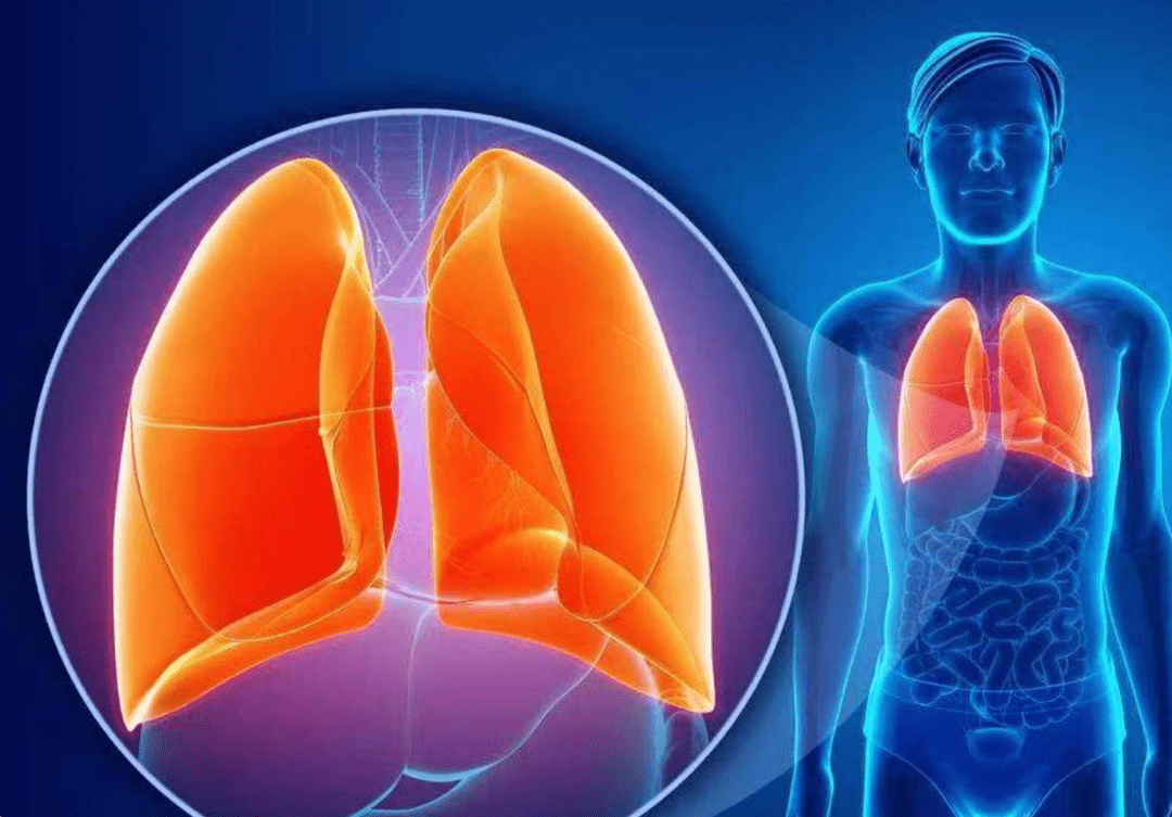 【Research】上海交大肖华/曹成喜教授联合美国胡深教授关于肺癌口腔微生物组的宏蛋白质组学分析_研究_细菌_微生物