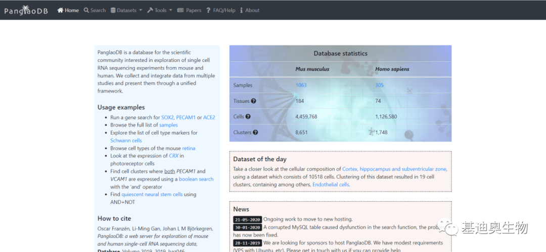 PanglaoDB——另一个快速完成细胞注释的免费网站_数据_基因_类型