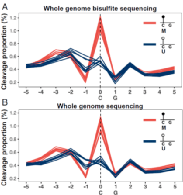PNAS | 卢煜明团队发表基于cfDNA片段模式推断甲基化模式新算法，证实cfDNA遗传和表观遗传信息可同时获得_研究_裂解_位点