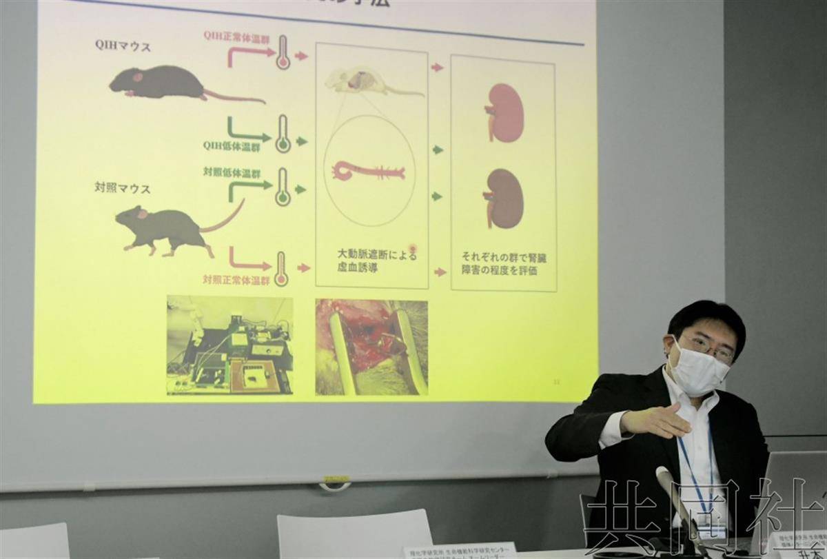 人工冬眠或可实现？日本科学家通过小鼠实验使其 冬眠”状态手术团队