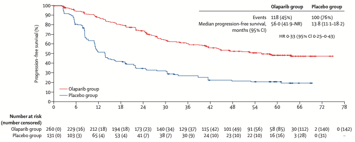 4 表搞懂：卵巢癌一线维持治疗新进展与治疗策略_患者_化疗_临床