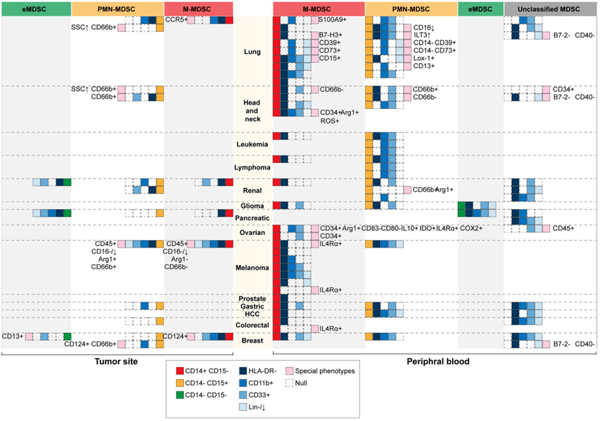 两类MDSCs的不同功能_肿瘤_cells_标志物