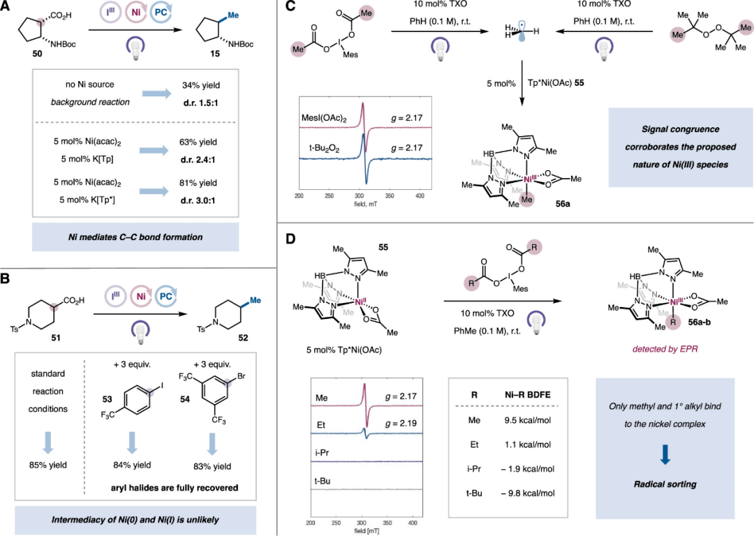 JACS：镍催化双分子均裂取代(SH2)交叉脱羧偶联_反应_烷基_金属