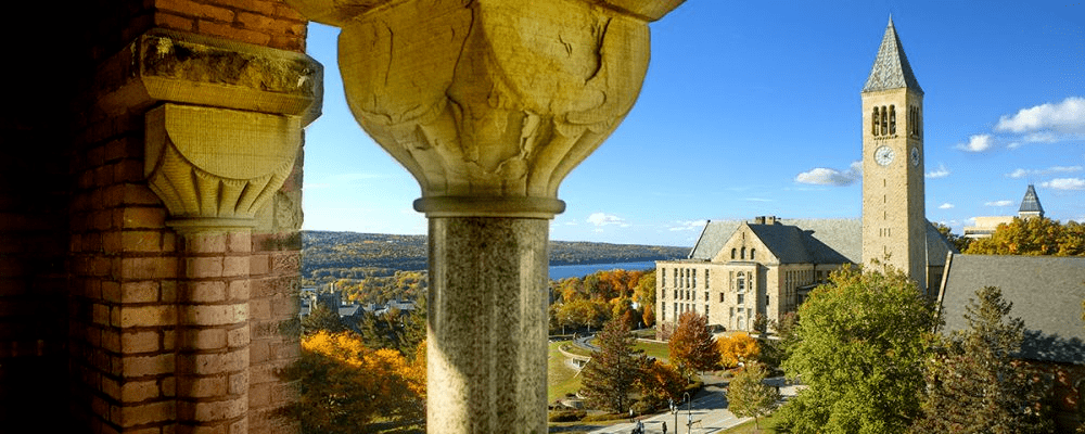 WLSA上海考情回顾！数学惊现新题型！难度再加倍？_考试_项目_进行