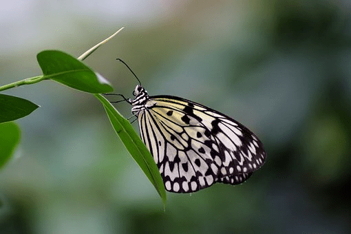 坦然生活的一段话_思考_一生_角度