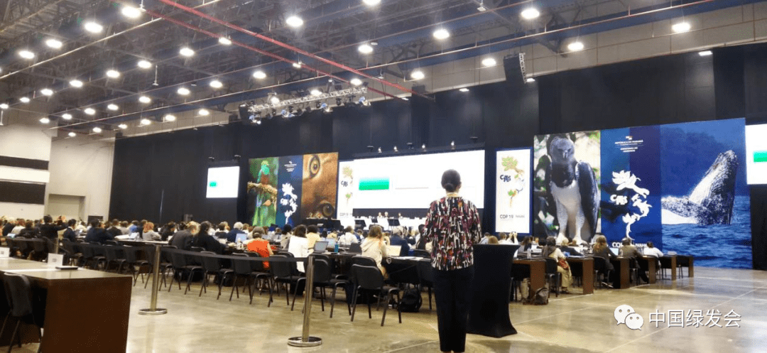 CITES CoP19第六天会议要点总结 | 绿会代表团巴拿马讯_提案_附录_文件