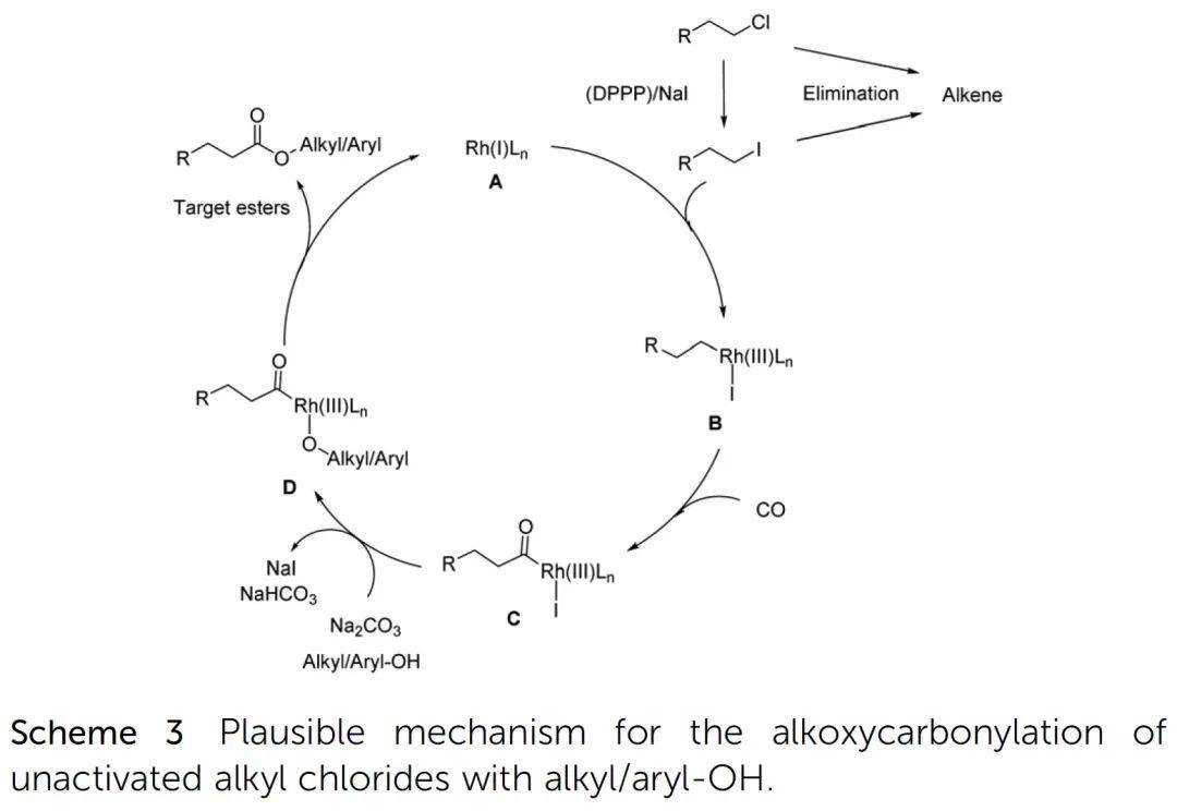 Matthias Beller课题组：铑催化非活化烷基氯化物的烷氧羰基化反应_Scheme_Sci_体系