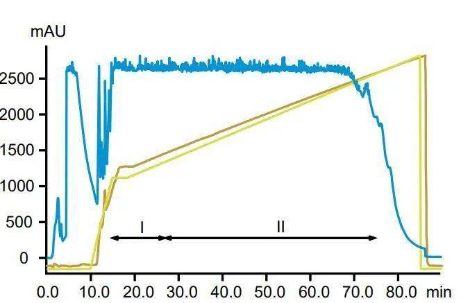 纯化宝典：Source 15Q在寡核苷酸纯化中的应用_进行_样品_ml