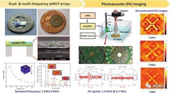 用于光声成像的陶瓷PZT薄膜双频/多频PMUT阵列_制造_超声_内窥镜