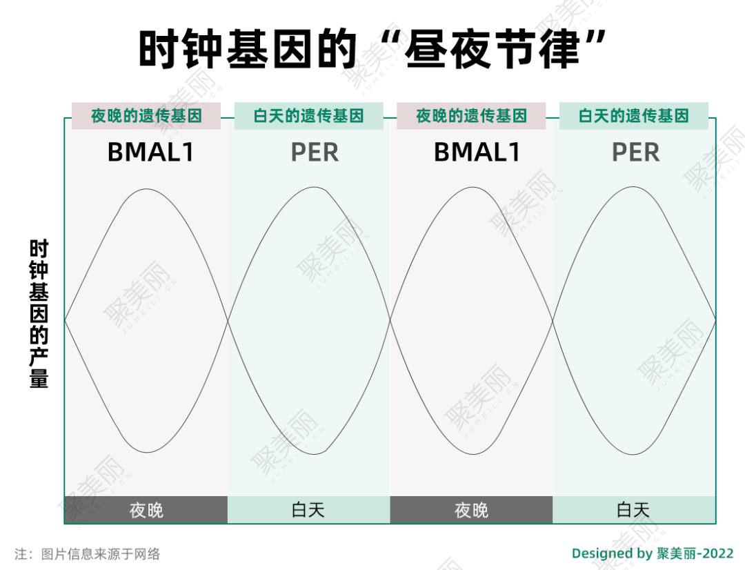 雅诗兰黛研究了十几年的黑科技，讲的是什么故事？_皮肤_基因_细胞