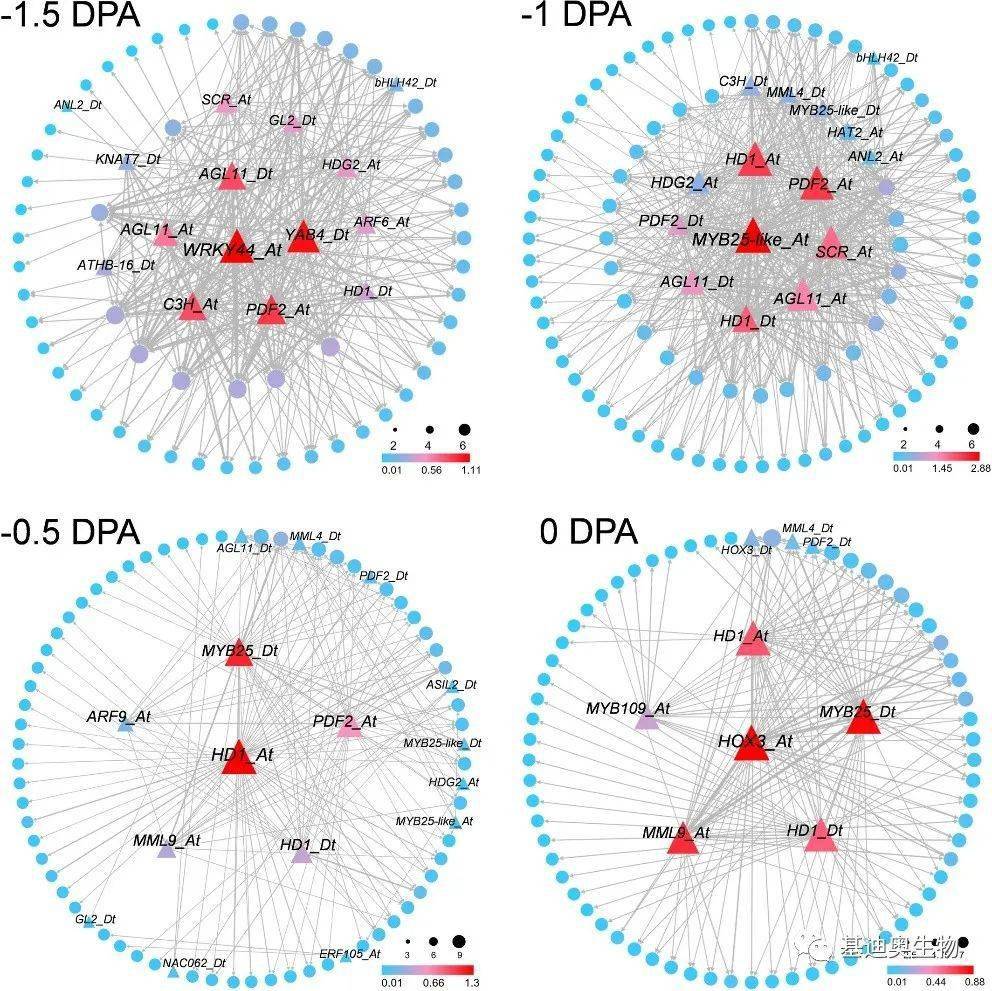 你会用WGCNA分析单细胞数据嘛？scWGCNA应用思路，干货满满_基因_模块_进行