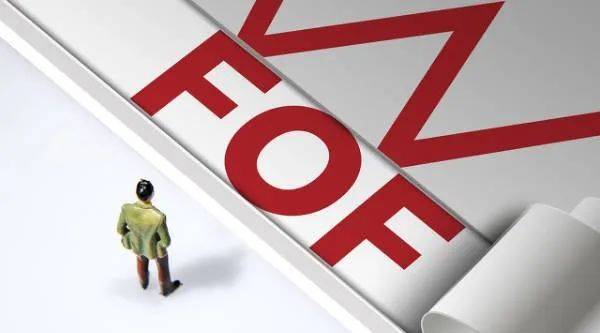 FOF正在抛债投股！"专业买手"最新重仓基金曝光，这些主动权益产品已被盯上_四季_收益_市场