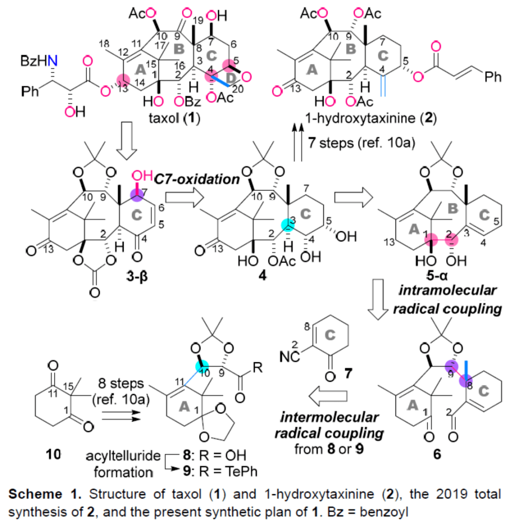 Angew：分子间/内自由基偶联促进紫杉醇（Taxol）的全合成_反应_中间体_进行了