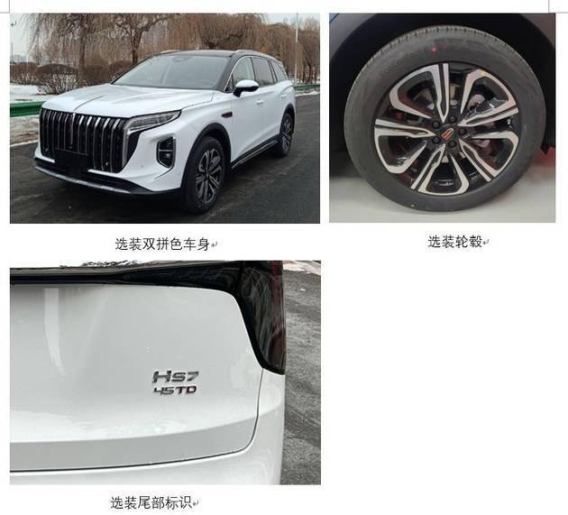 红旗HS6申报信息曝光 5/6/7座布局/2.0T动力_搜狐汽车_搜狐网