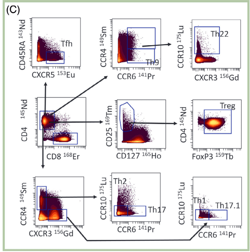 如何细致的分析辅助T细胞记忆亚群和功能亚群及其活化标记？看这些设门逻辑_定义_Bcl-_cn