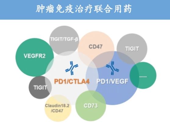康方 AK112 + CD73 单抗联合疗法启动临床，针对结直肠癌_Insight_合作_全球