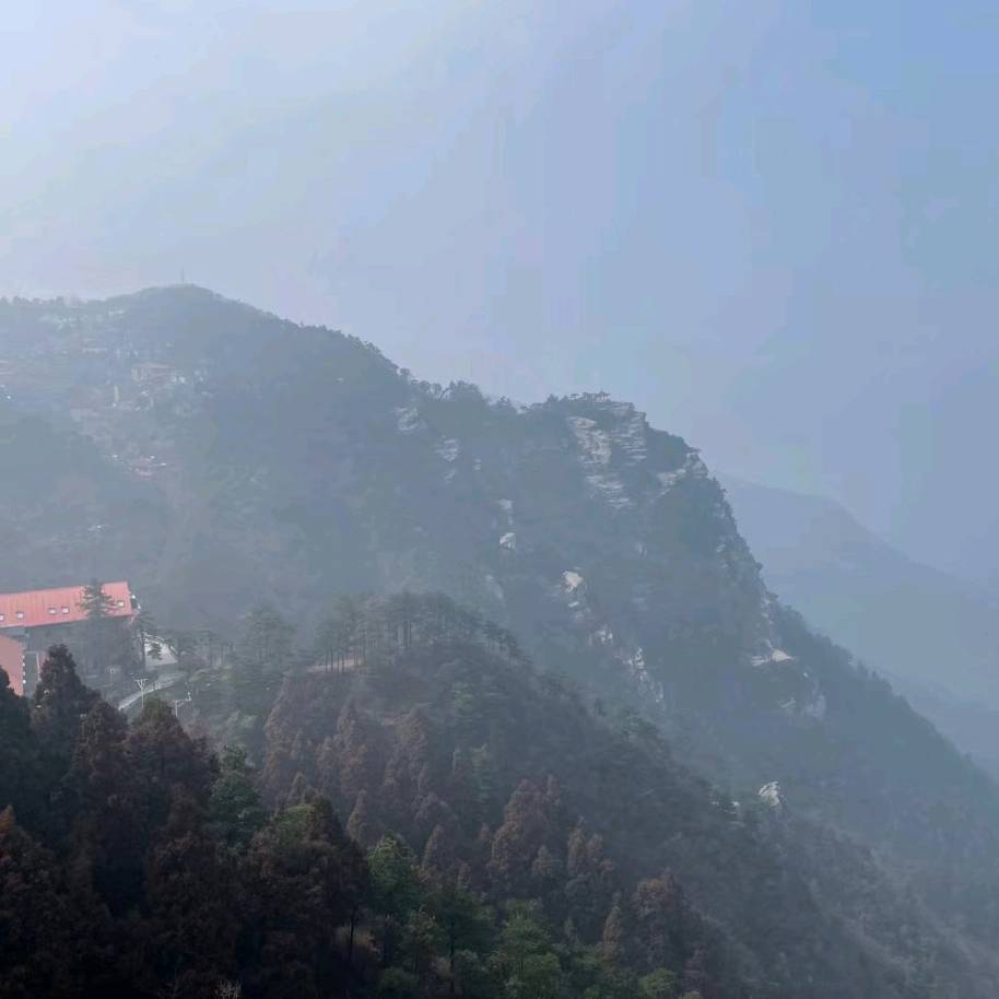 S31赛季首位T0.5英雄诞生，吕布的“亲妈”，谁能克制姬小满？_技能_连招会_伤害