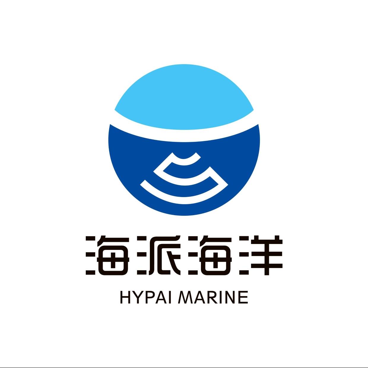 记一次项目记录水库大坝安全检测坝前水下地形测量进行数据波束