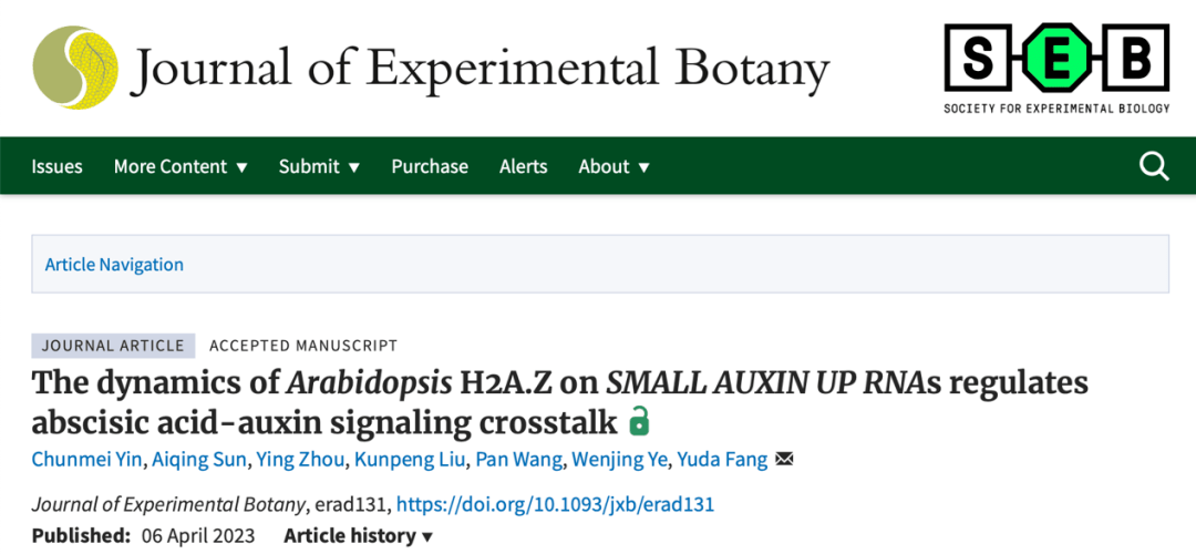 上海交通大学方玉达团队揭示组蛋白变体H2A.Z调控植物生长-抗逆平衡的分子机制_auxin_信号_基因组