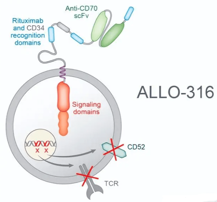 【PRO观点】AACR重磅研究一览（第四期）_患者_口头报告_医药