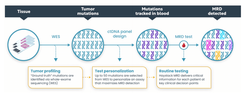 1.5个燃石，5个泛生子，专注于MRD检测的Haystack Oncology凭什么_肿瘤_ctDNA_产品