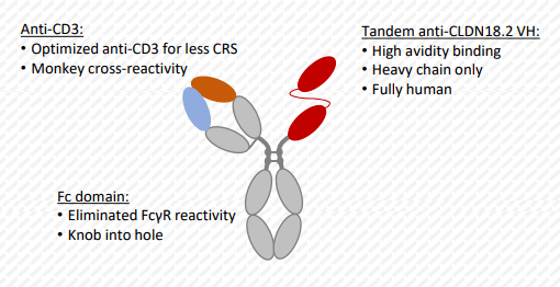 阿斯利康 CD3/CLDN18.2 双抗国内申报临床，引进自和铂医药_Insight_开发_全球