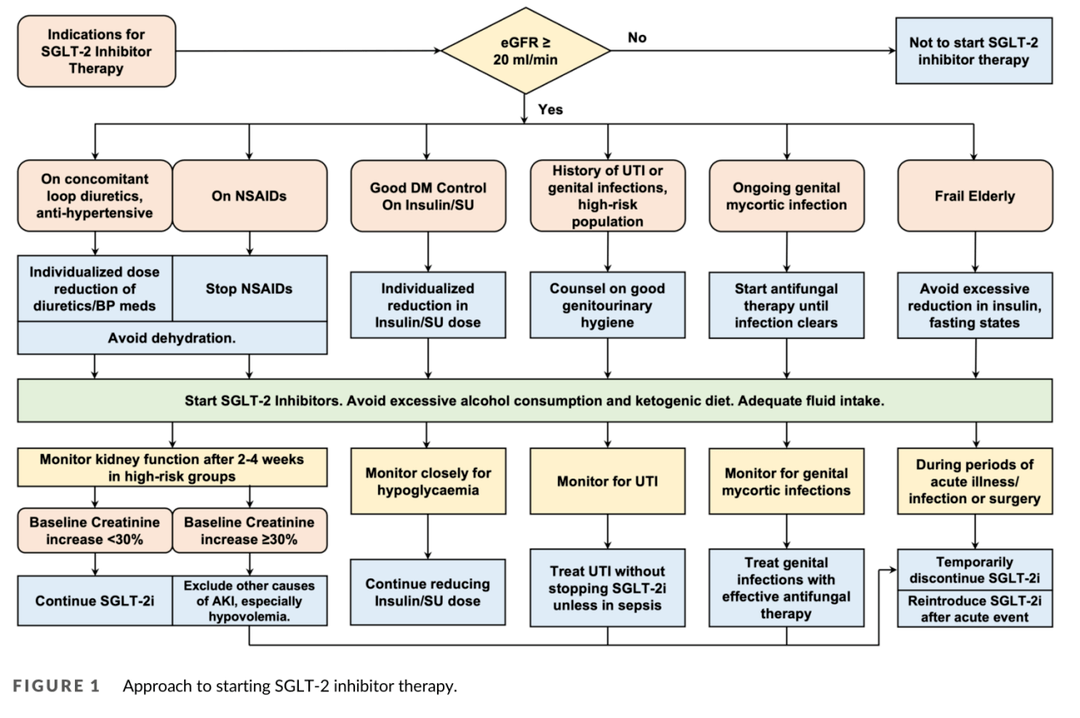 亚洲患者如何使用SGLT2抑制剂？_治疗_保护_风险降低