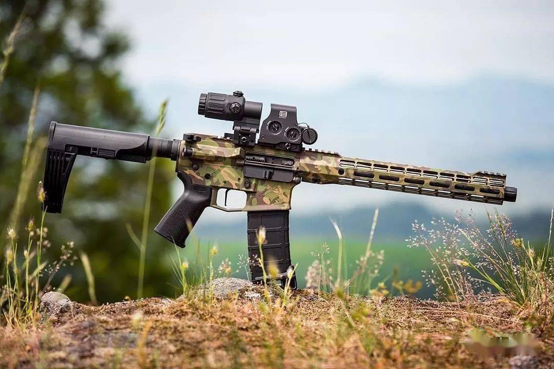 【近乎于完美的拼装AR】搭载了Aero Precision公司配件的枪械美图 -6parkbbs.com