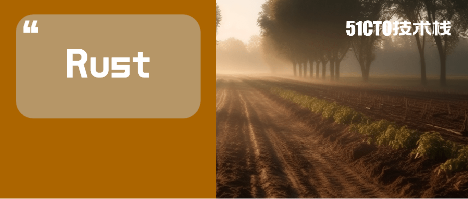 像写 Rust 一样写 Python！_类型_函数_什么