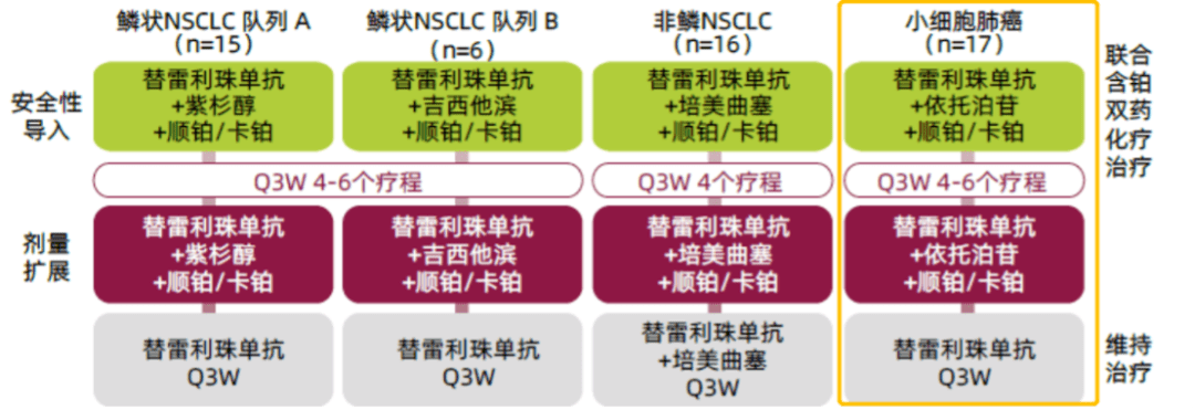 行稳致远 笃行不怠丨RATIONALE 312 研究披露阳性结果，替雷利珠单抗肺癌领域再下一城_治疗_细胞_患者