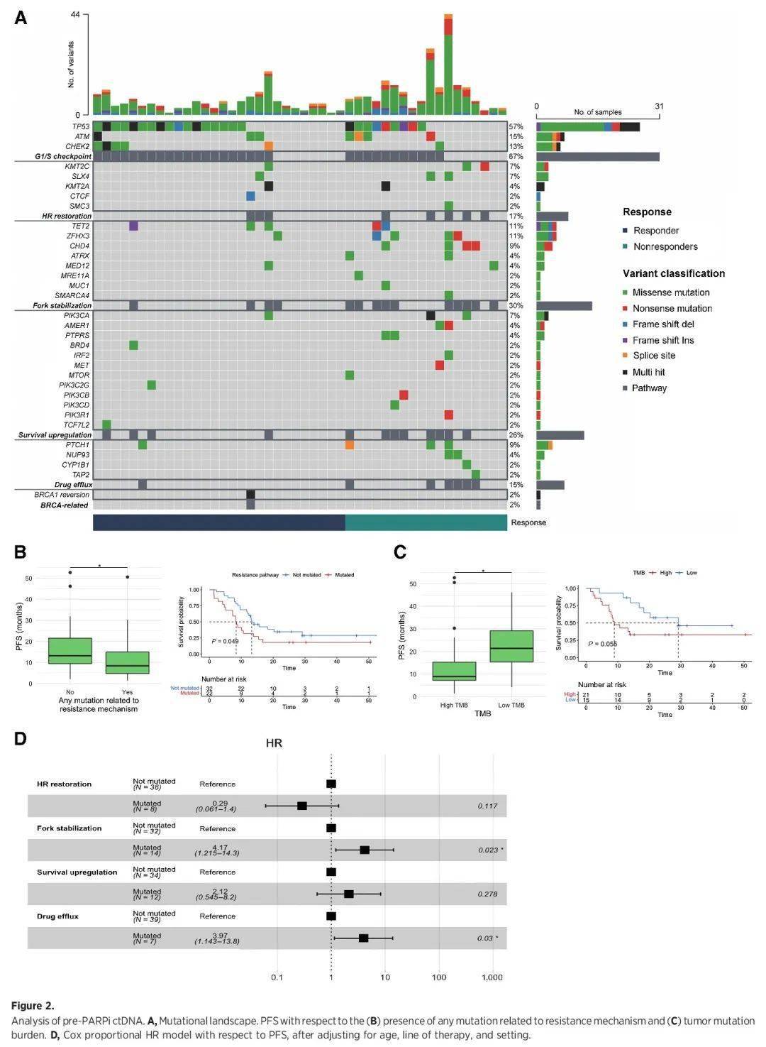 血液ctDNA分析BRCA突变卵巢癌PARPi耐药机制及预后生存_患者_治疗_研究