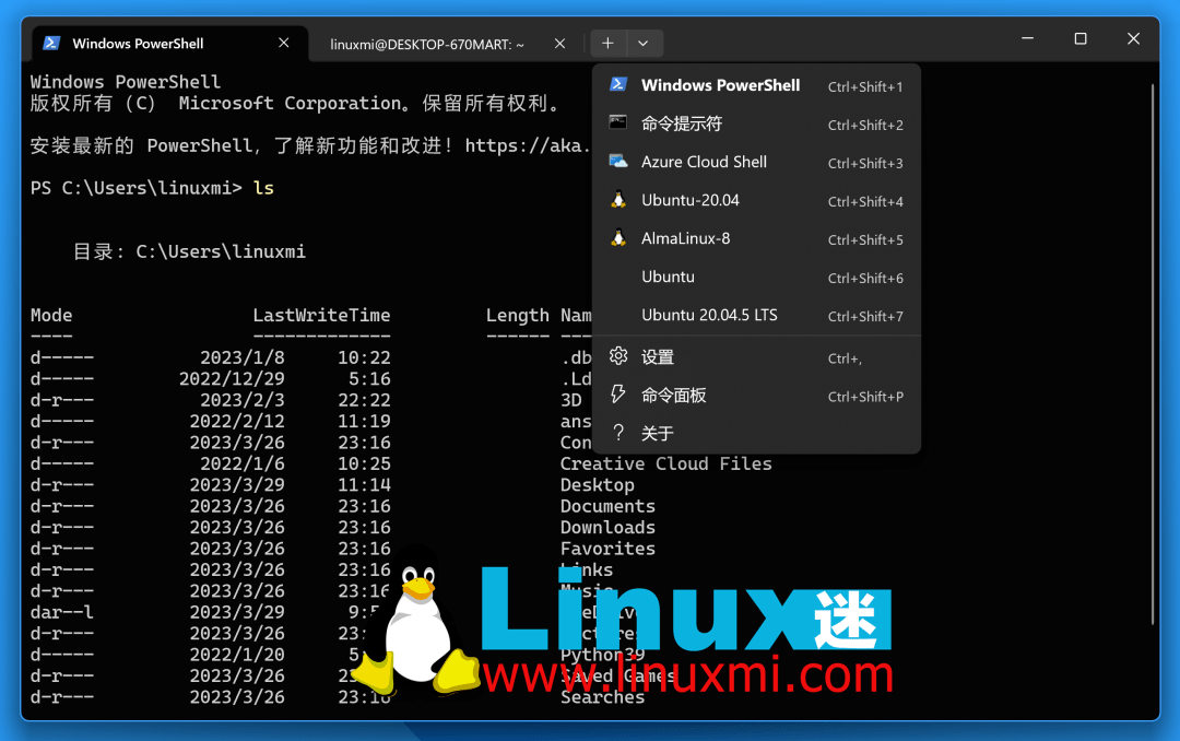 何时应该考虑使用 WSL 而不是标准 Linux 发行版？_Windows_运行_服务器
