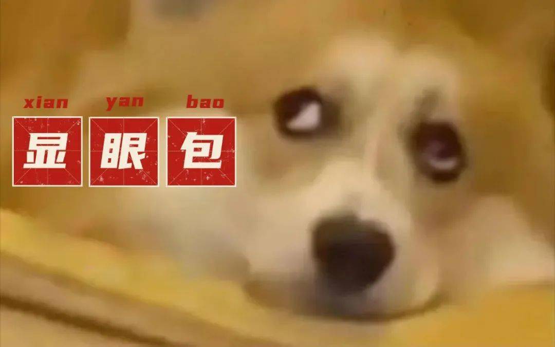 最近刷屏的 显眼包”是什么梗?可不是eye Pack哦!egloseshame