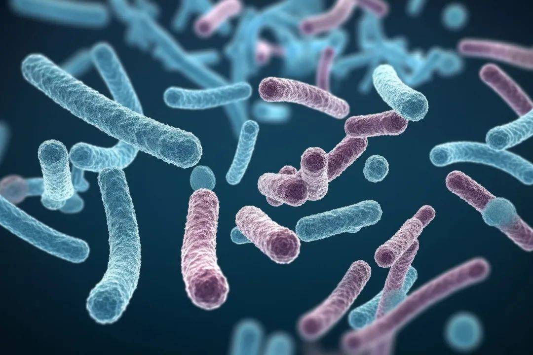 天气炎热，千万小心家里的这些细菌！或导致败血症、脑膜炎等疾病_大肠杆菌_繁殖_李斯特