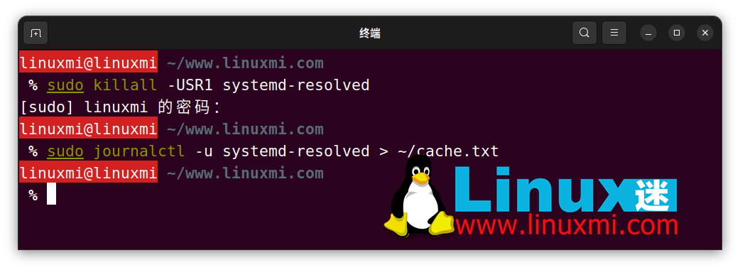 你真的会在 Linux 上查看和刷新 DNS 缓存吗？_nscd_服务器发送_%sudo