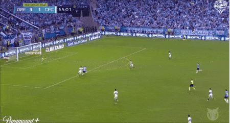 5-1！36岁苏亚雷斯连场破门，右膝不适下场，37000名球迷起立鼓掌_格雷米奥_雷纳托·波塔_维纳