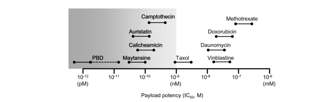 ADC各大毒素如何选择？IC50、作用机制、临床管线（附全景布局图）_细胞_他汀_蛋白