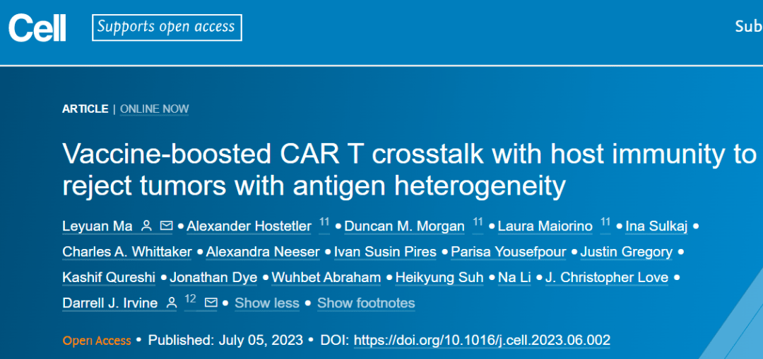 实体瘤治疗迎来曙光！CAR-T细胞体内疫苗触发免疫系统参与，避免肿瘤逃逸_抗原_反应_淋巴