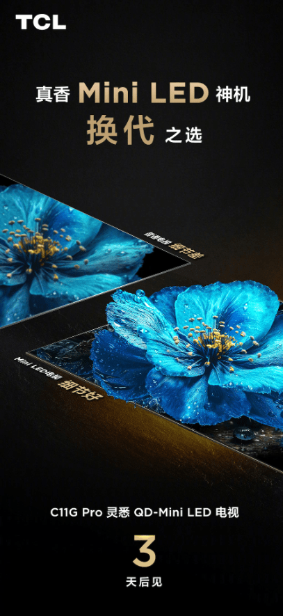 光彩夺目！TCL C11G Pro灵悉QD-Mini LED电视发布日期确定_产品_用户_对比度