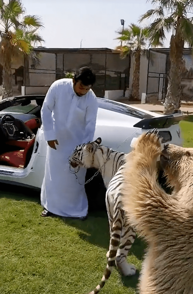 发视频也犯法？在迪拜玩抖音要注意了！_TikTok_Rind_媒体