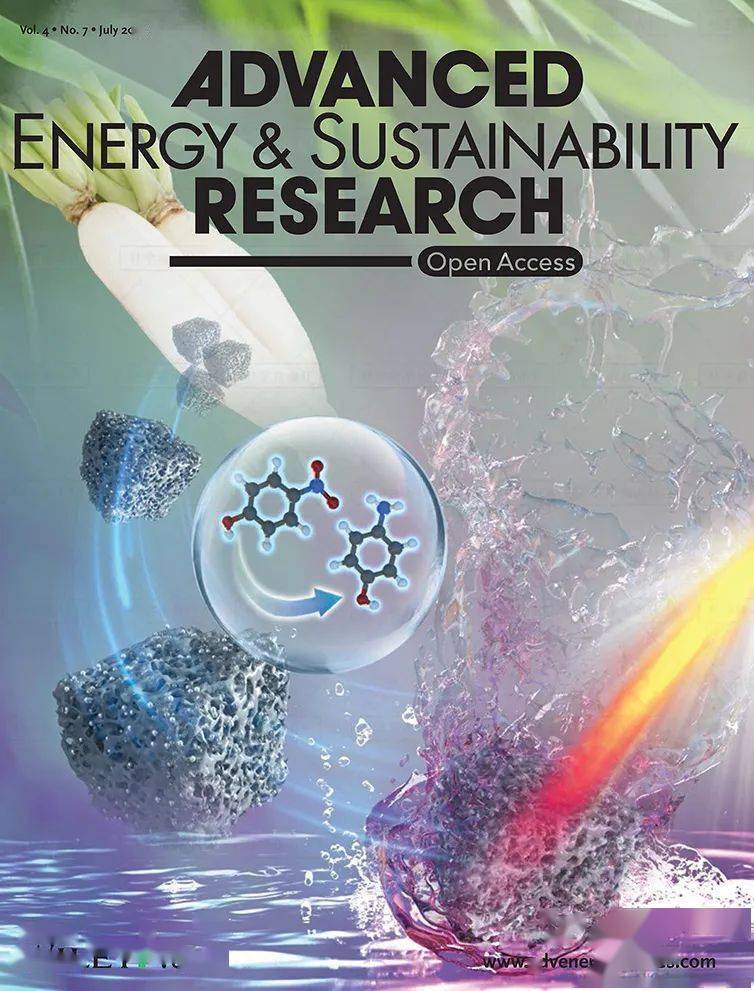 AESR | 基于光热催化的塑料废物升级回收技术_and_文章_自然环境