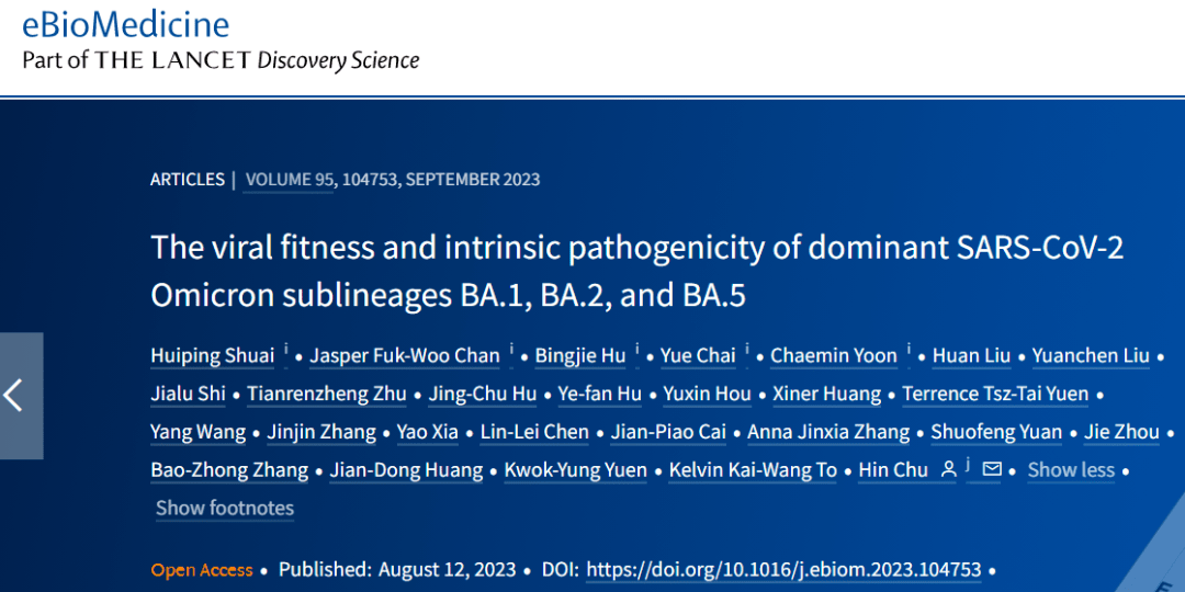 EbioMedicine | 香港大学朱轩团队揭秘新冠变异毒株Omicron BA.1、BA.2和BA.5的传播适应性和致病性_病毒_繁殖_进化