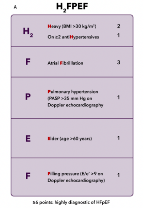 2023 ACC HFpEF 管理专家共识决策路径解读 | GW-ICC 2023_诊断_症状_临床