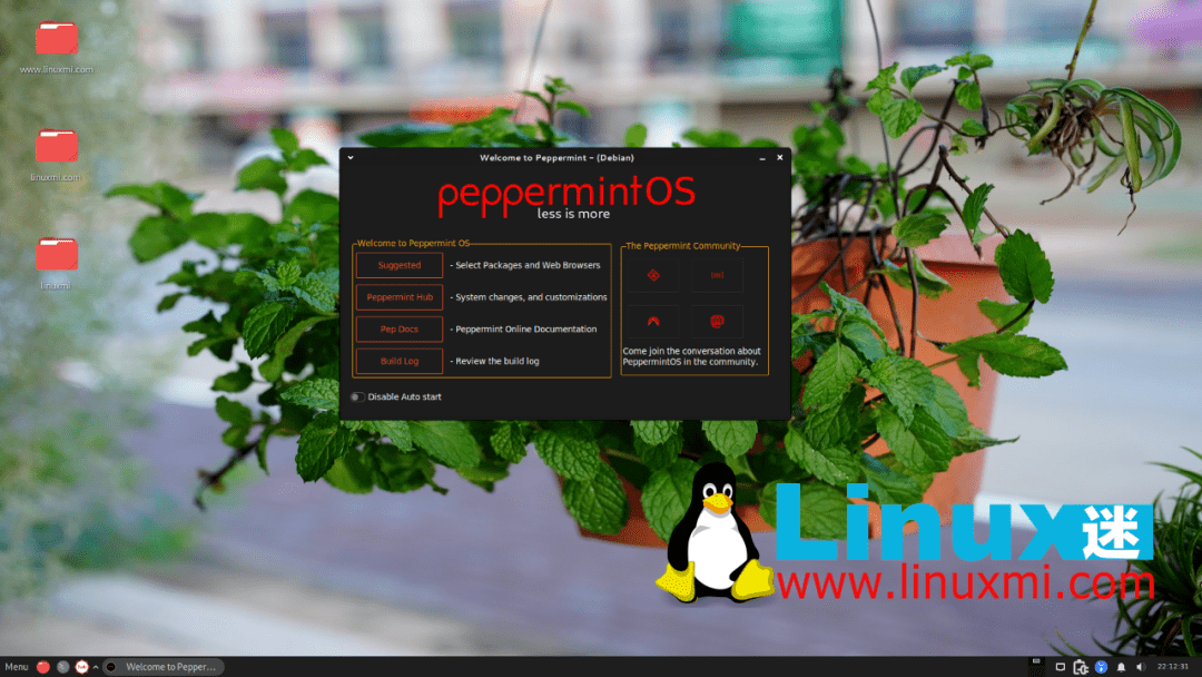 Peppermint 推出 PepMini：基于 Debian 的极简操作系统_Linux_Devuan_Builds